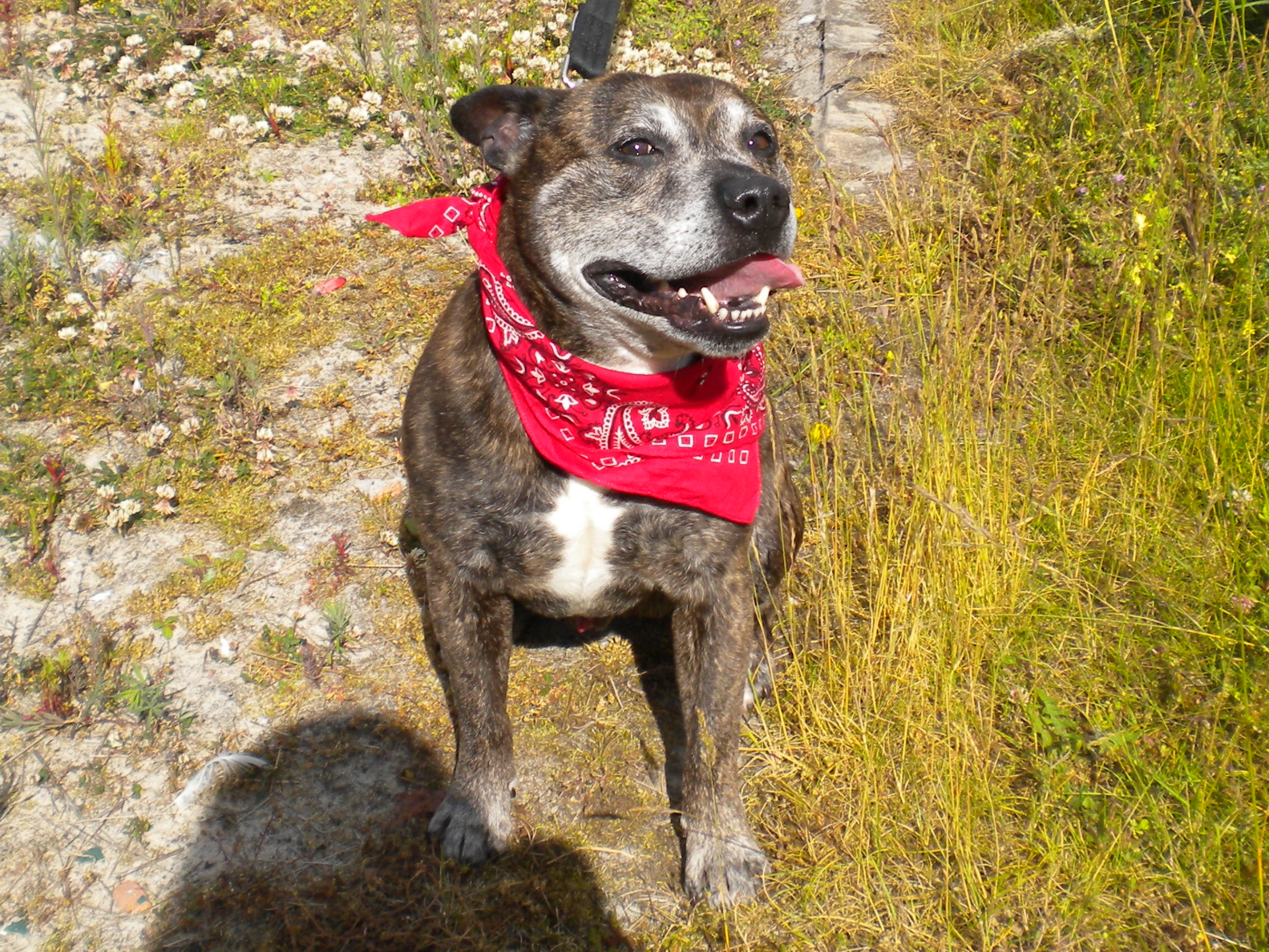 Tash | Dundee City Council