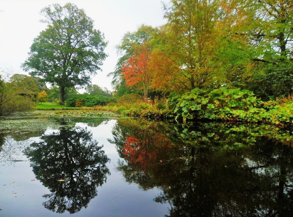 Camperdown Country Park | Dundee City Council